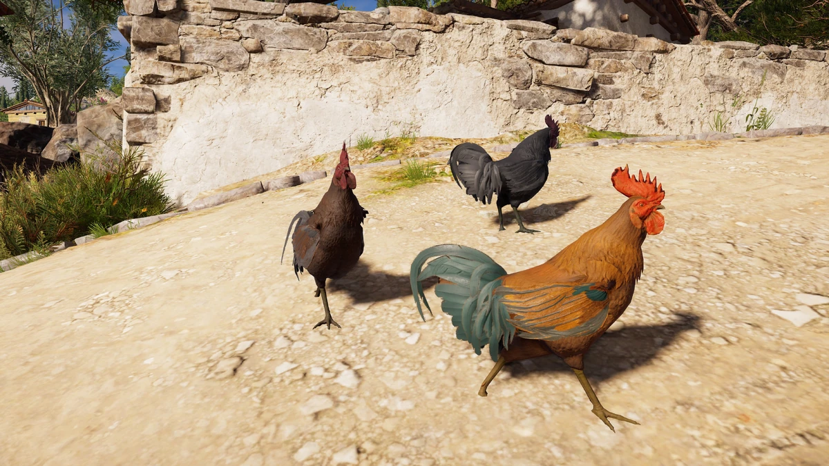 Chicken | Assassin's Creed Wiki | Fandom