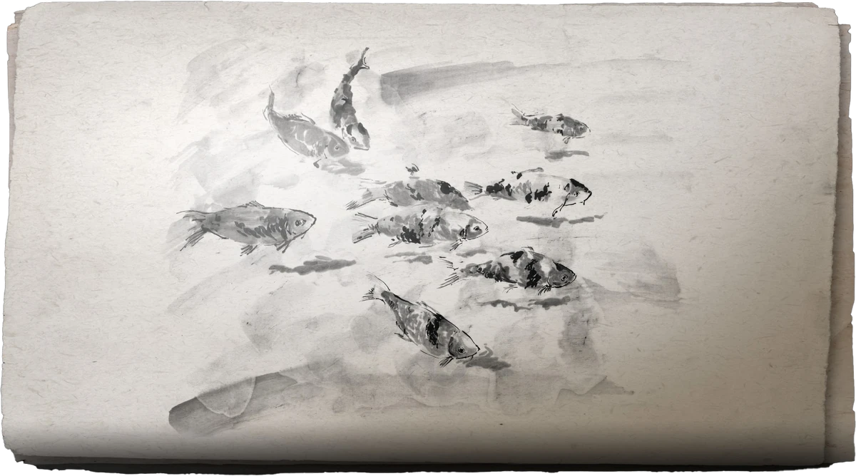 Database: Koi Fish Swimming | Assassin's Creed Wiki | Fandom