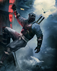 Ninja | Assassin's Creed Wiki | Fandom