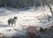 Wolf | Assassin's Creed Wiki | Fandom