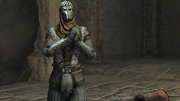 Shahkulu | Assassin's Creed Wiki | Fandom