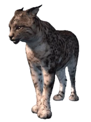 Database: Bobcat | Assassin's Creed Wiki | Fandom