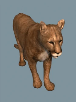 Database: Puma | Assassin's Creed Wiki | Fandom