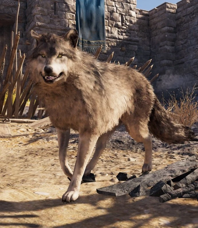 Wolf (Odyssey) | Assassin's Creed Wiki | Fandom