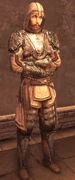 Italian Brotherhood of Assassins | Assassin's Creed Wiki | Fandom