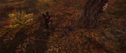 Kodros | Assassin's Creed Wiki | Fandom