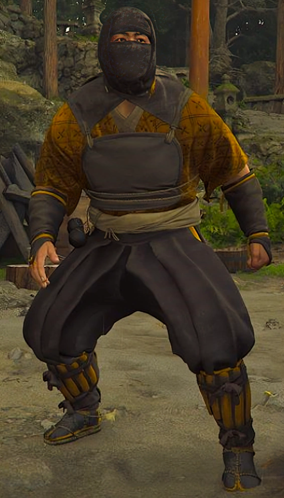 Akira of Koga | Assassin's Creed Wiki | Fandom