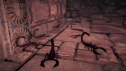 Scorpion | Assassin's Creed Wiki | Fandom