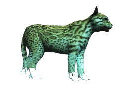 Database: Ocelotto | Assassin's Creed Wiki | Fandom