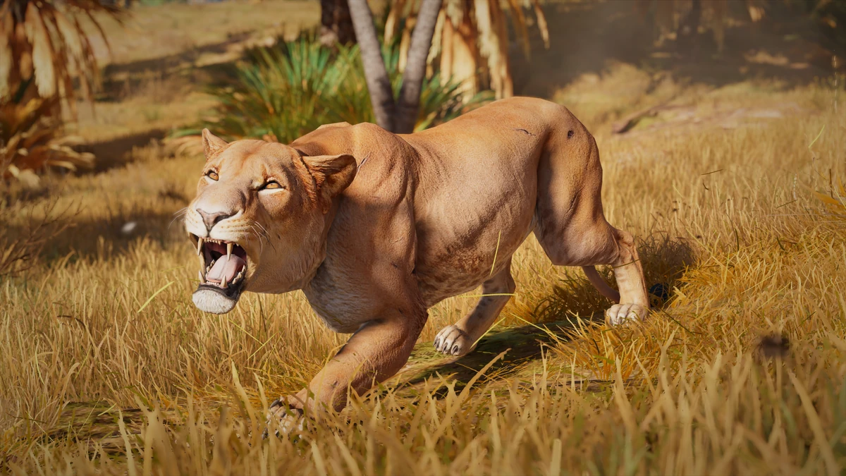 Lion | Wiki Assassin's Creed | Fandom