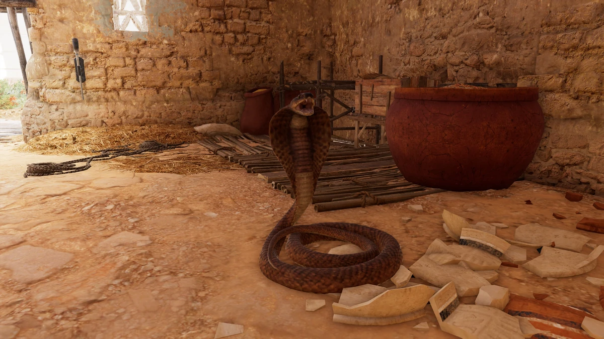 Snake | Assassin's Creed Wiki | Fandom