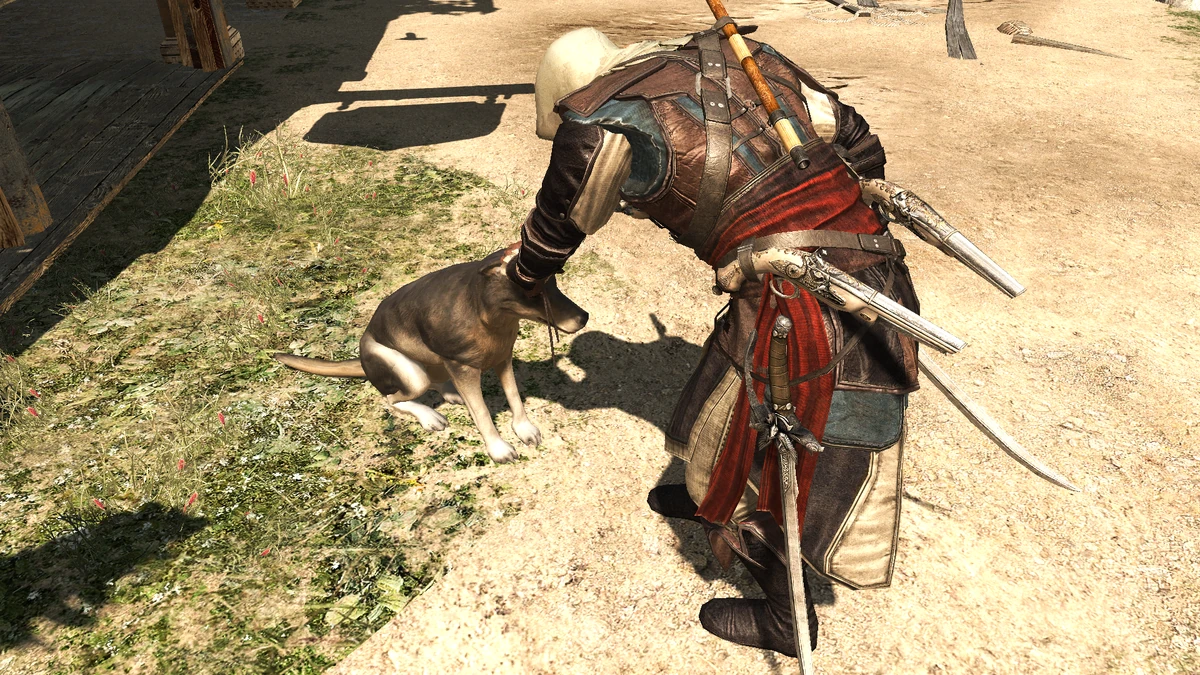 Dog | Assassin's Creed Wiki | Fandom