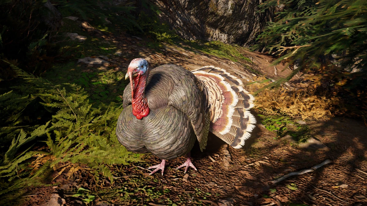 Arne (turkey) | Assassin's Creed Wiki | Fandom