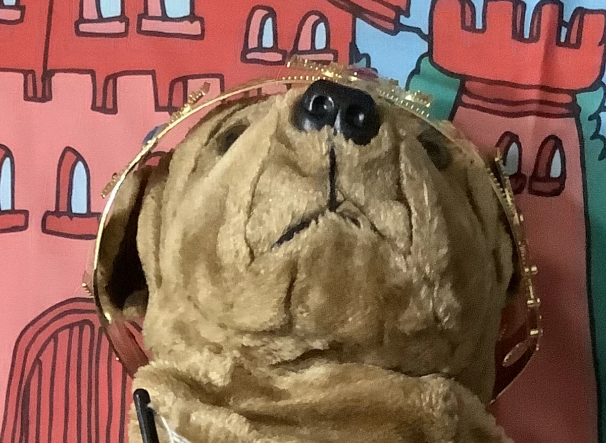 Haba Dog | Marobeen Dog Assemble Wiki | Fandom