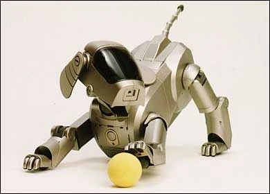 AIBO | Assistive Technology for Autism Wiki | Fandom