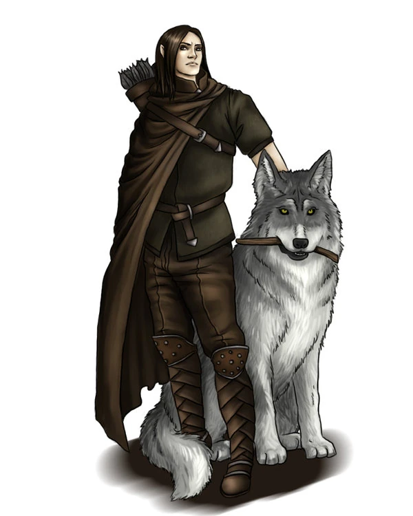 Tarin Wolfwalker | A Symphony of Steam and Magic Wiki | Fandom