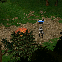 Looking for Caligar | Astonia Wiki | Fandom