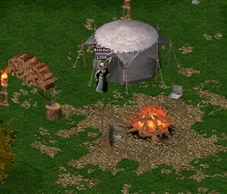 Amazon Invaders | Astonia Wiki | Fandom