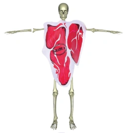 T Bone | Astral Domination Wiki | Fandom