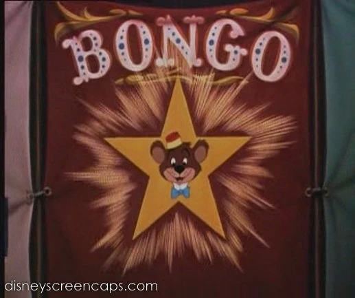 Bongo The Bear