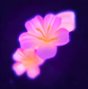 Blossoming Gyaru Cutely Head Piece | Astro Renaissance Wiki | Fandom