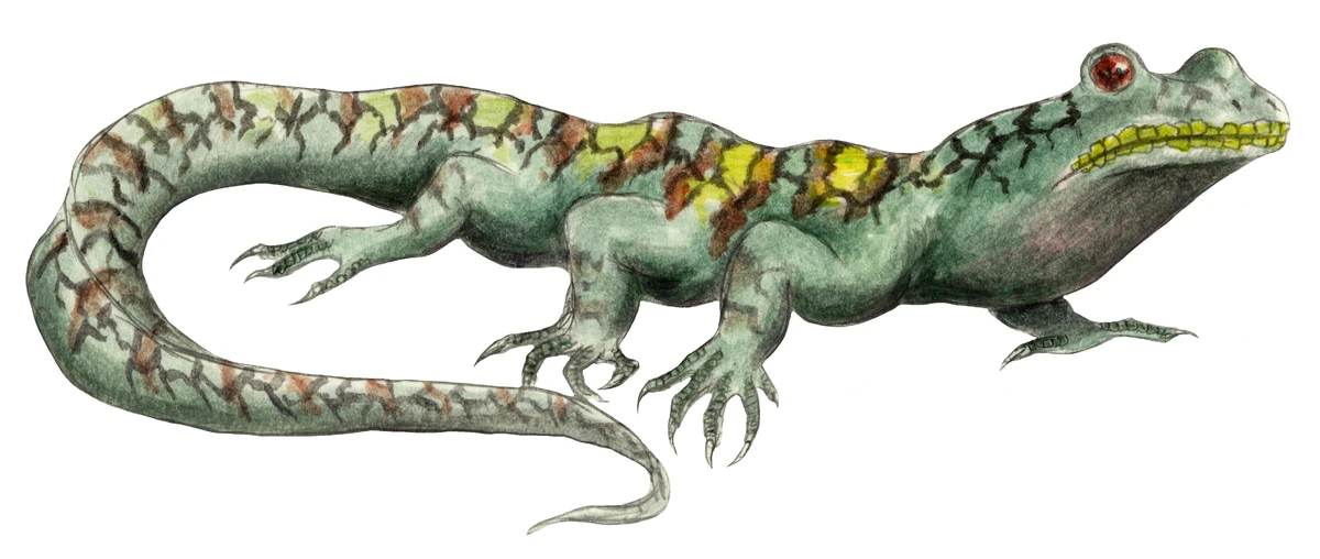 Whowie | Astrohanasia Wiki | Fandom