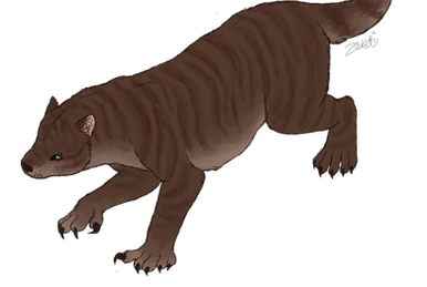 Propleopus Oscillans