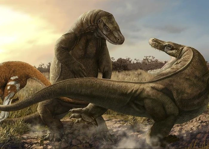 Megalania | Astrohanasia Wiki | Fandom