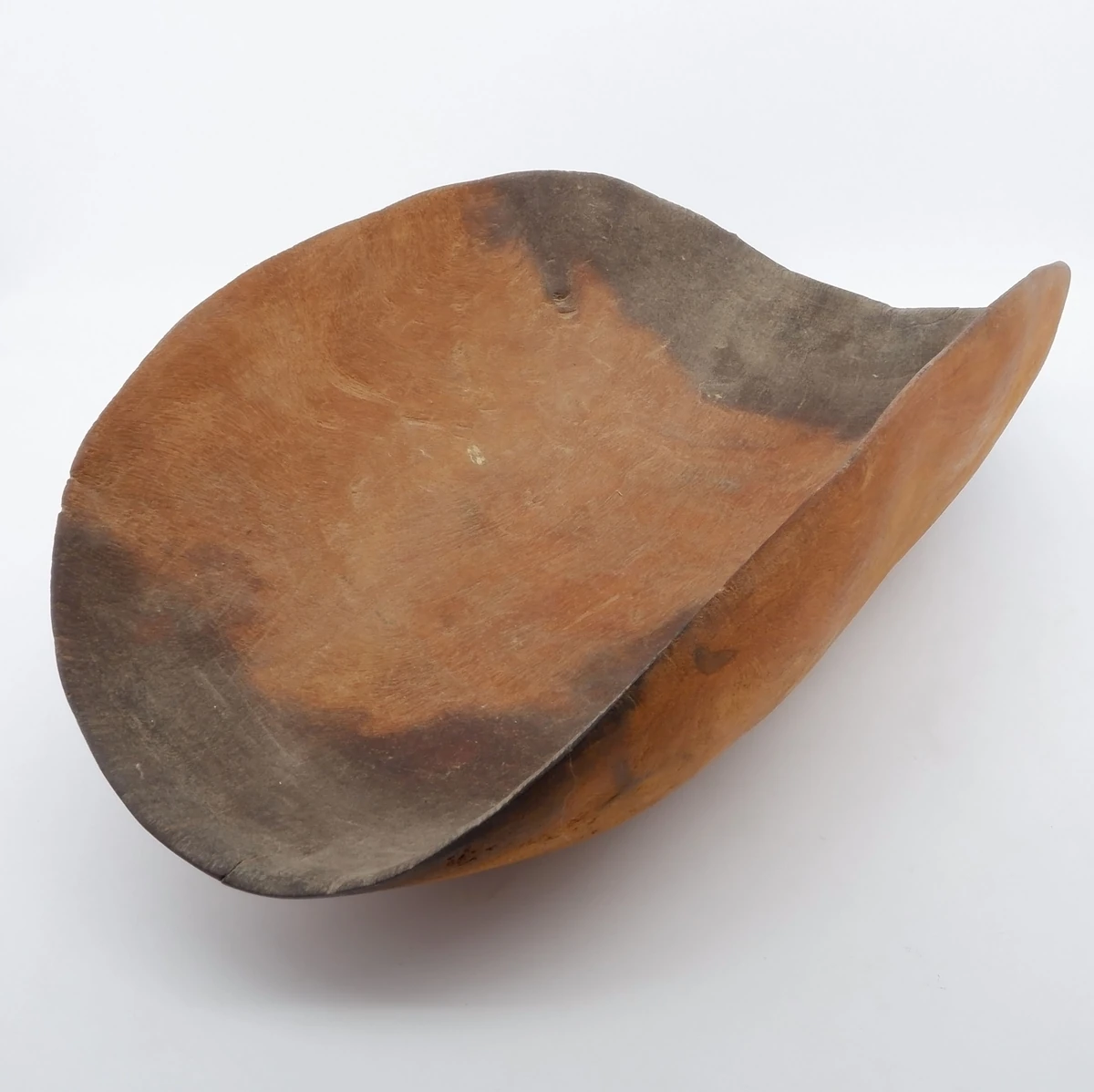 Coolamon | Astrohanasia Wiki | Fandom