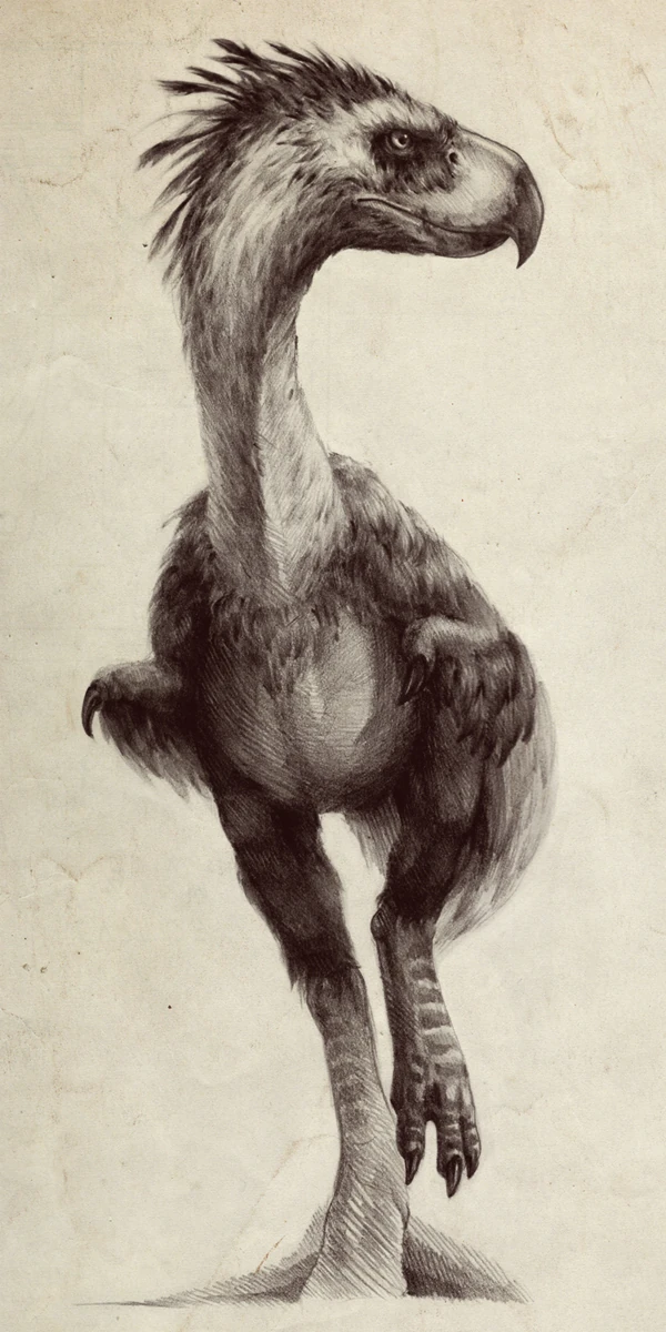 Terror Bird | Astrohanasia Wiki | Fandom