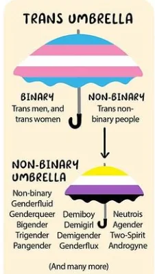 Category:Transgender Umbrella | Astrology Zodiacs Wiki | Fandom