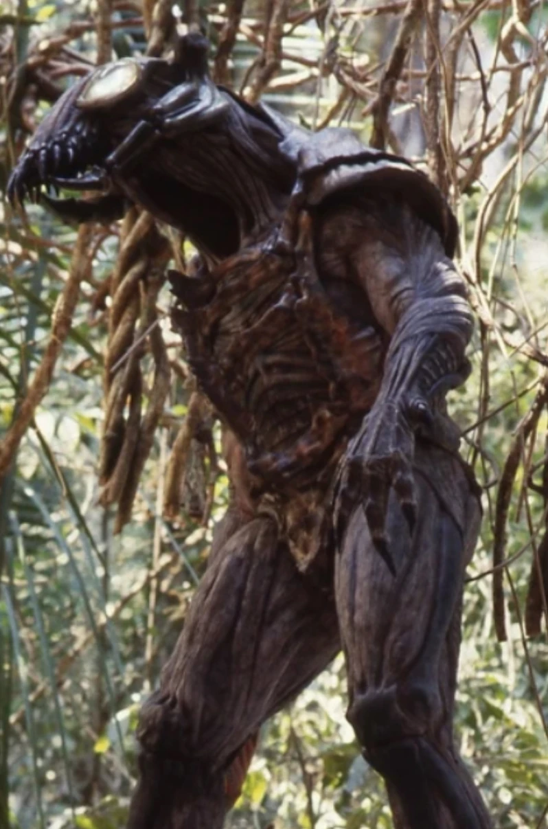 Amengi | Astuteintoecy Headcanon Wiki | Fandom