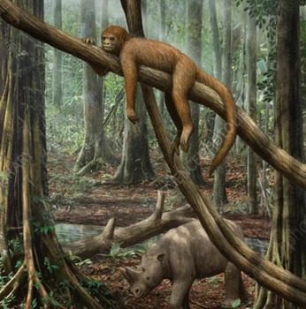 Late Pre-Human Timeline | Astuteintoecy Headcanon Wiki | Fandom