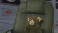 Bear | AT4W Wiki | Fandom