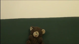 Bear | AT4W Wiki | Fandom