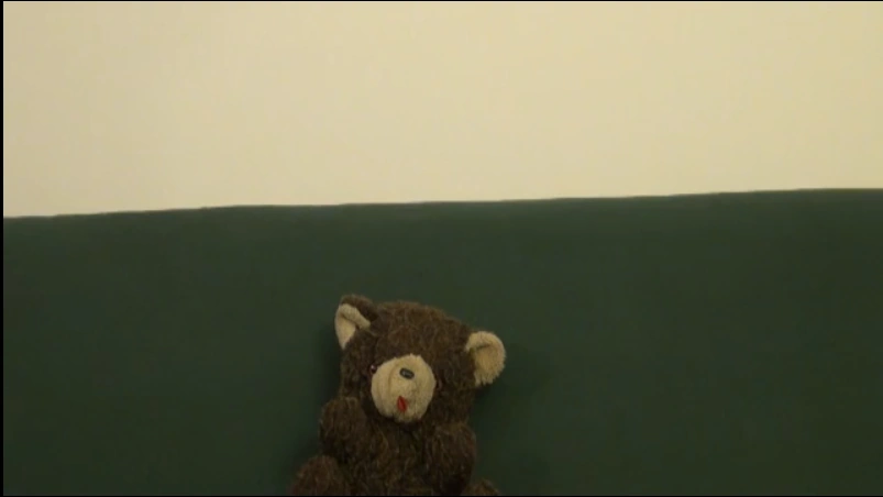 Bear | AT4W Wiki | Fandom