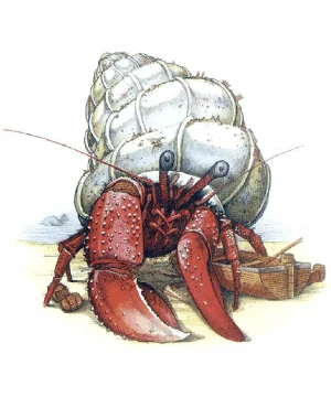 Giant Hermit Crab Pathfinder
