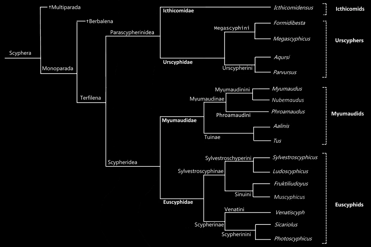 Scyphera | Atarian Database | Fandom