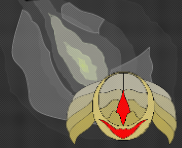 Republic of the Outer Rim | Atat and Jaja's Odd World Wiki | Fandom