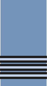 Wing Commander | Air Training Corps Wiki | Fandom