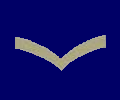 Cadet Junior Corporal | Air Training Corps Wiki | Fandom