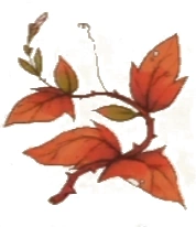 Flame Plant | Atelier Wiki | Fandom