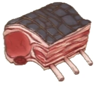 Dragon Meat | Atelier Wiki | Fandom