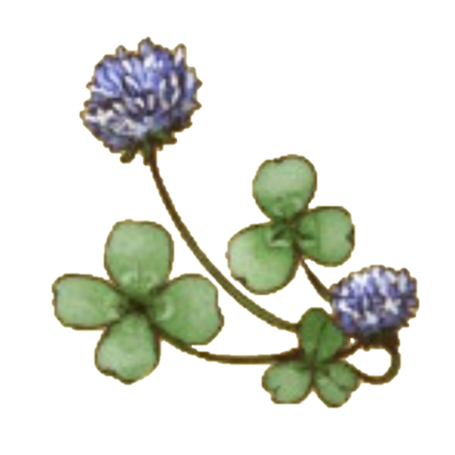 Blue Clover | Atelier Wiki | Fandom