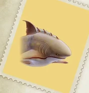 Hide Shark | Atelier Wiki | Fandom
