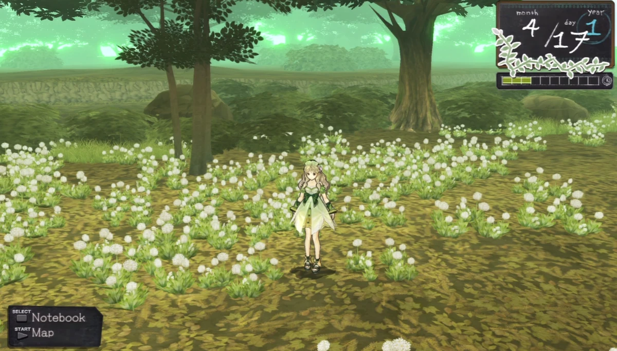 Nearby Forest (Atelier Ayesha) | Atelier Wiki | Fandom