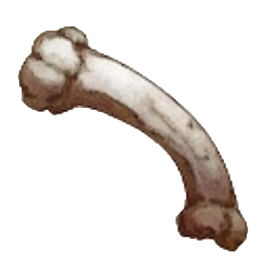 Big Bone | Atelier Wiki | Fandom