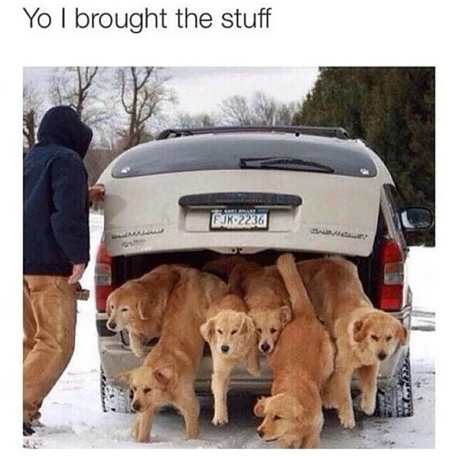 Becket family | Athene Noctua Writer's Guide Wiki | Fandom