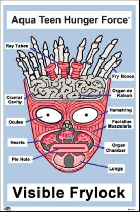 Visible Frylock | ATHF Wiki | Fandom