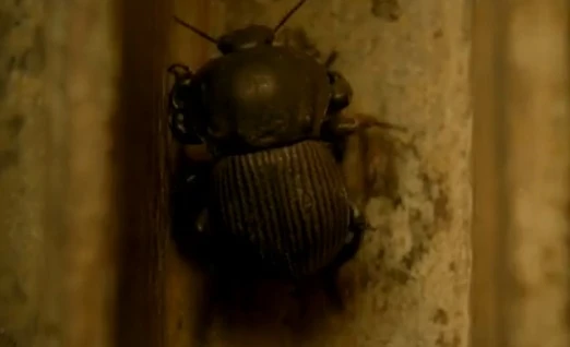 Astrabacus | Atlantis Wiki | Fandom